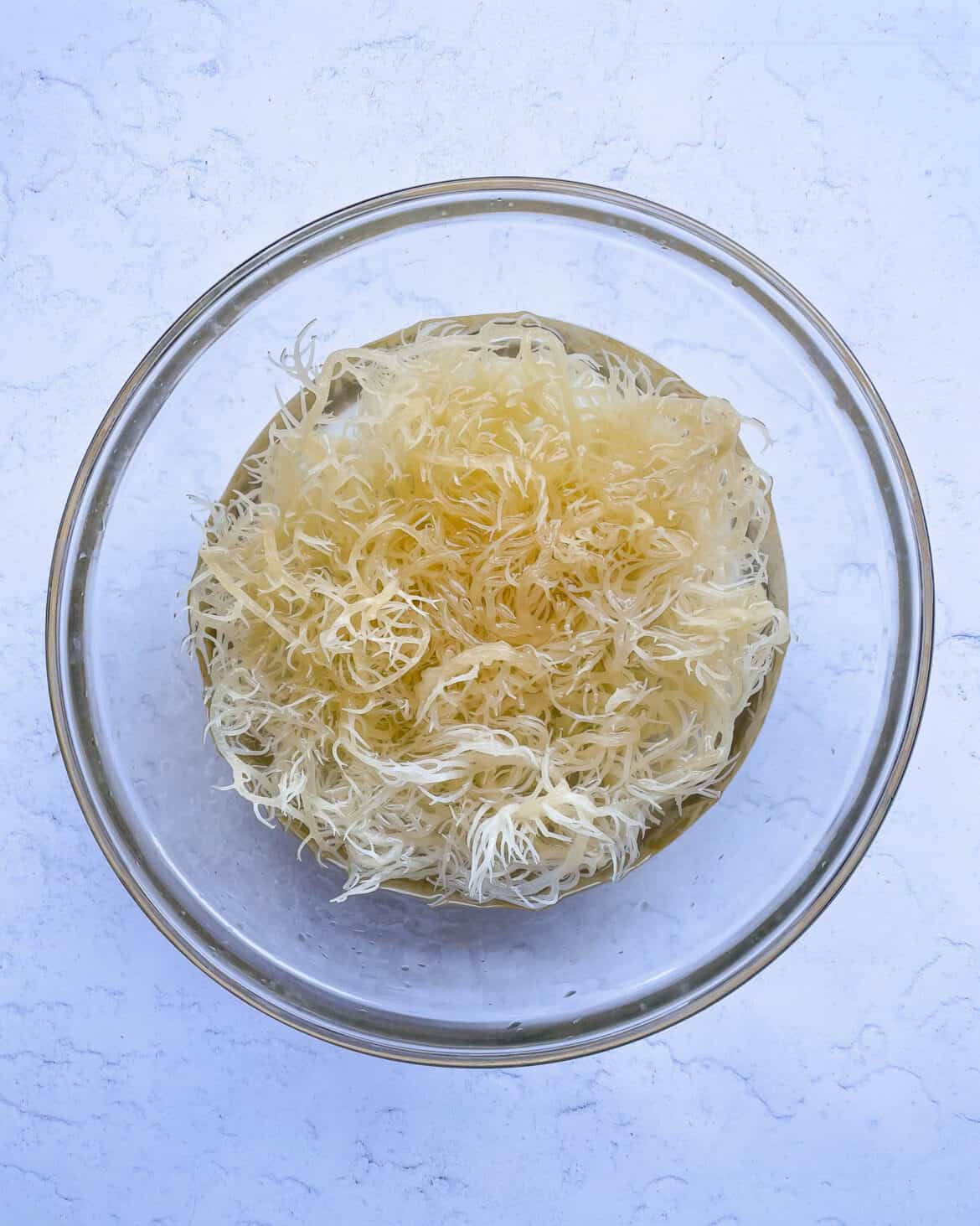 How To Boil Sea Moss To Make Sea Moss Gel - Good Food Baddie