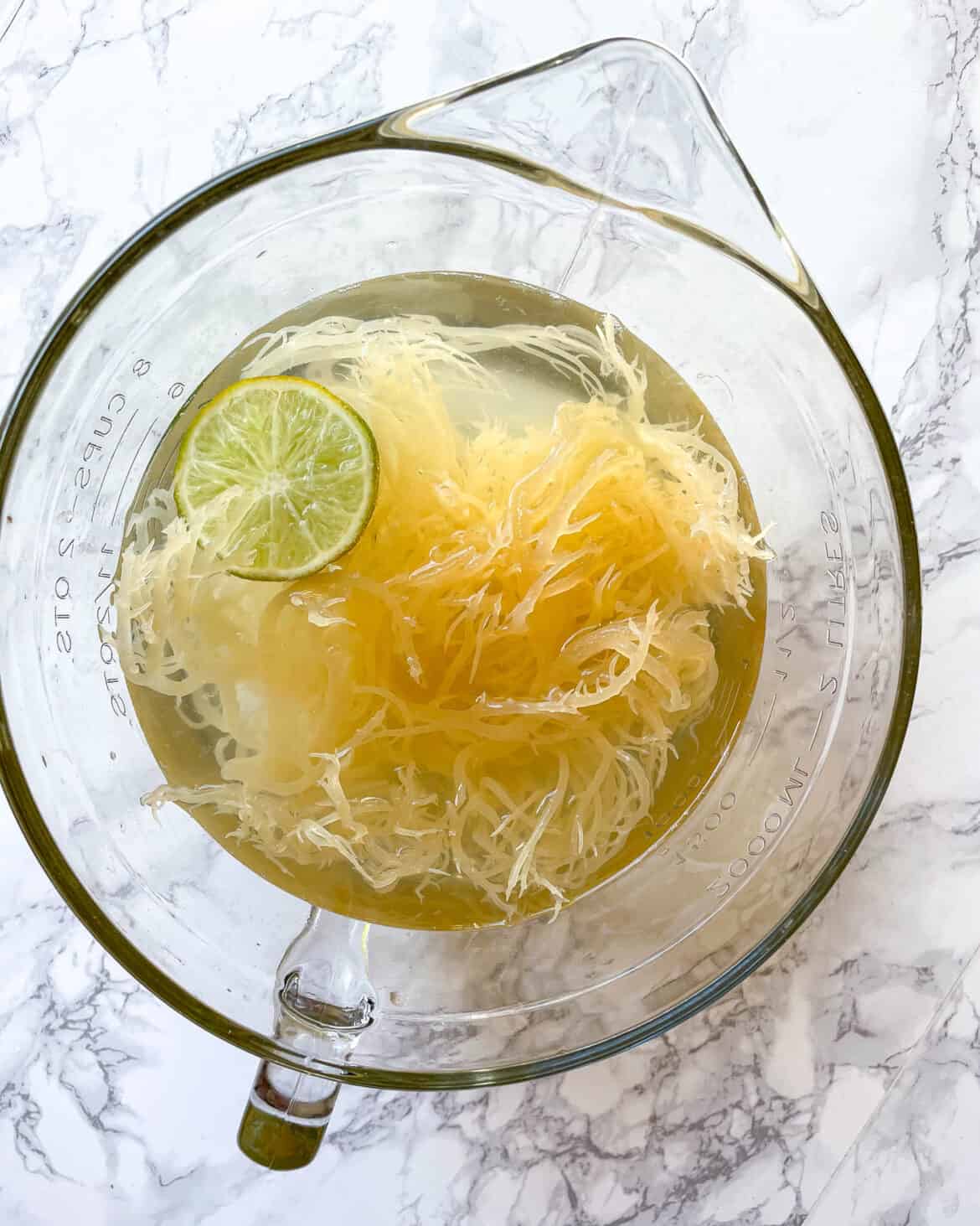 How To Boil Sea Moss To Make Sea Moss Gel - Good Food Baddie